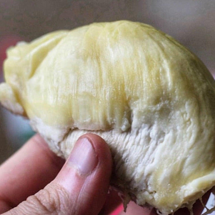 Fresh Durian - Buy fresh Durian online from Miami Fruit
