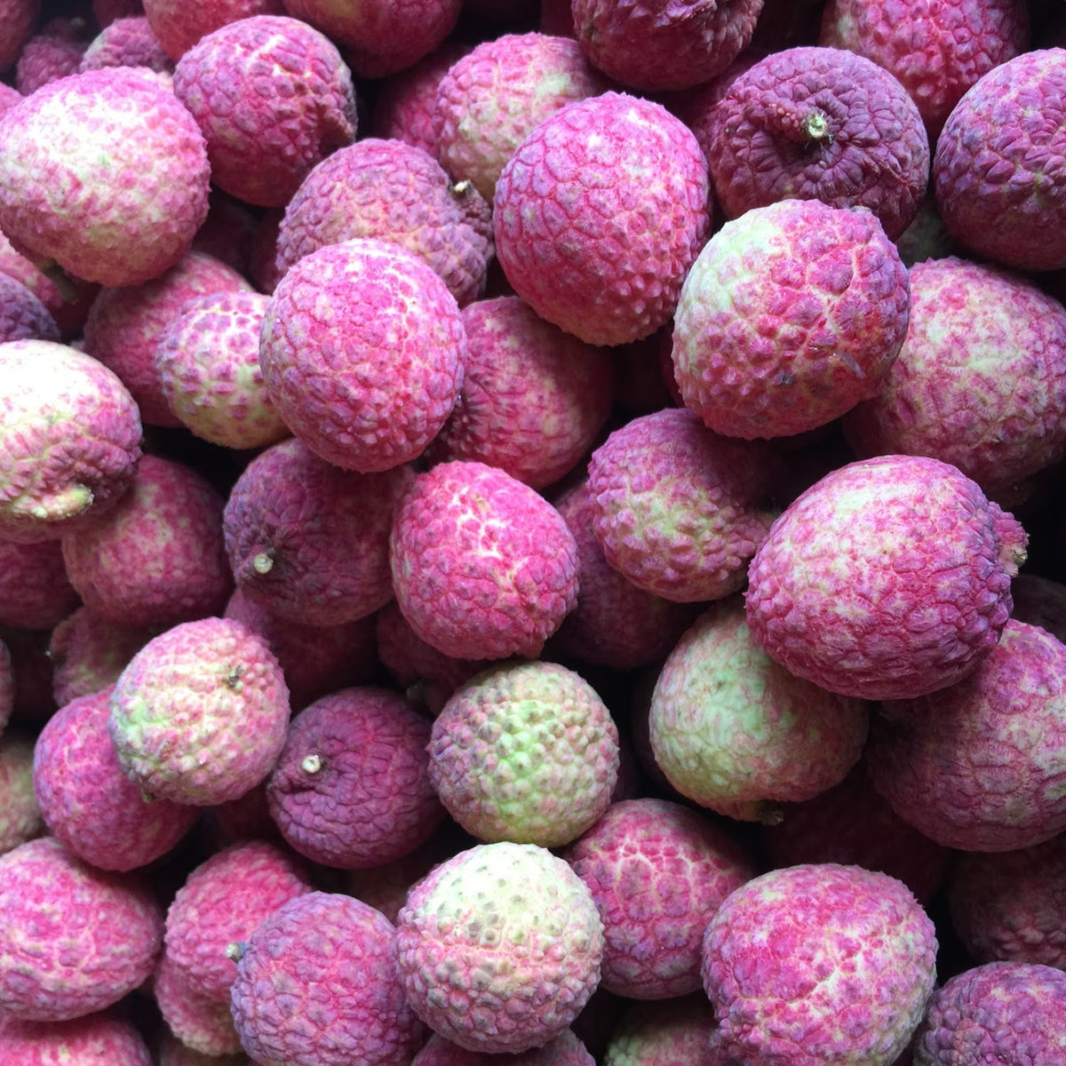Lychee - Emperor Variety *Pre-Order* – Miami Fruit