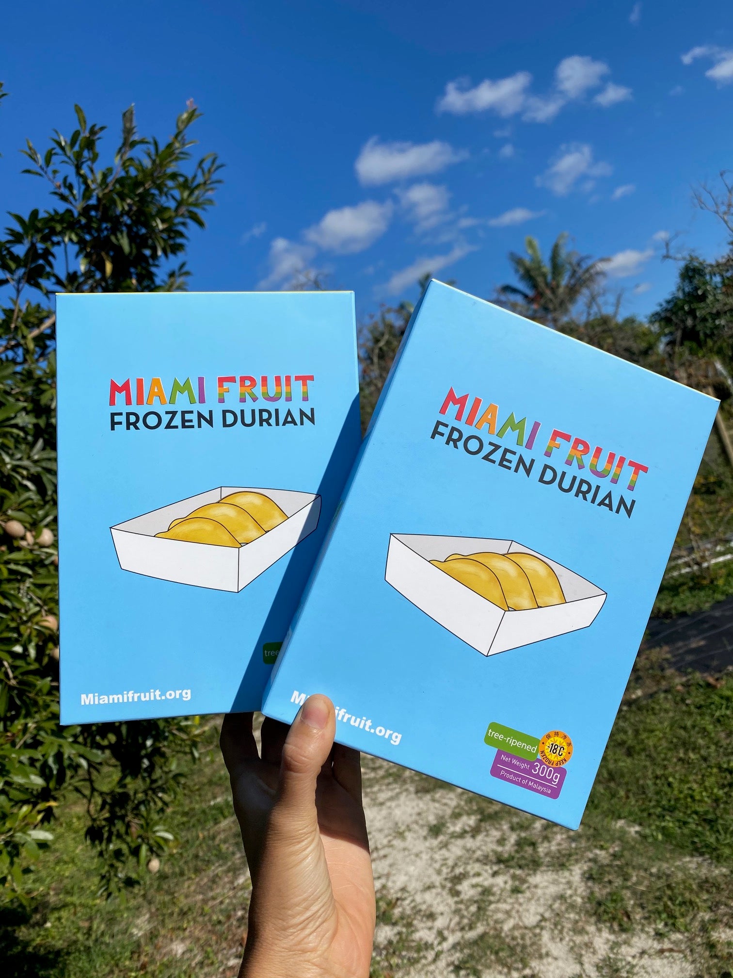 Sultan King (D24) Durian Trays *Pre-Order* – Miami Fruit