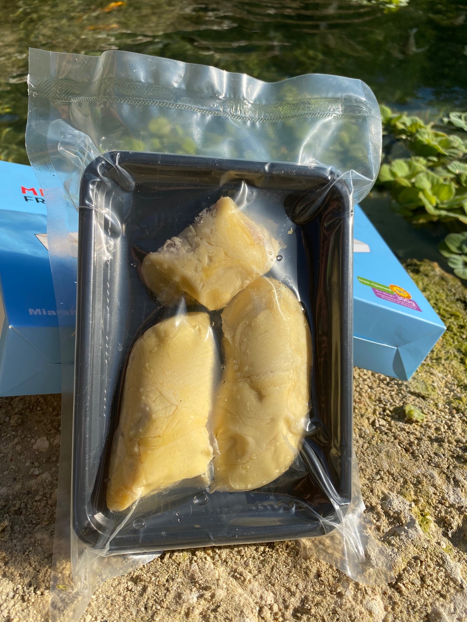 Sultan King (D24) Durian Trays *Pre-Order* – Miami Fruit