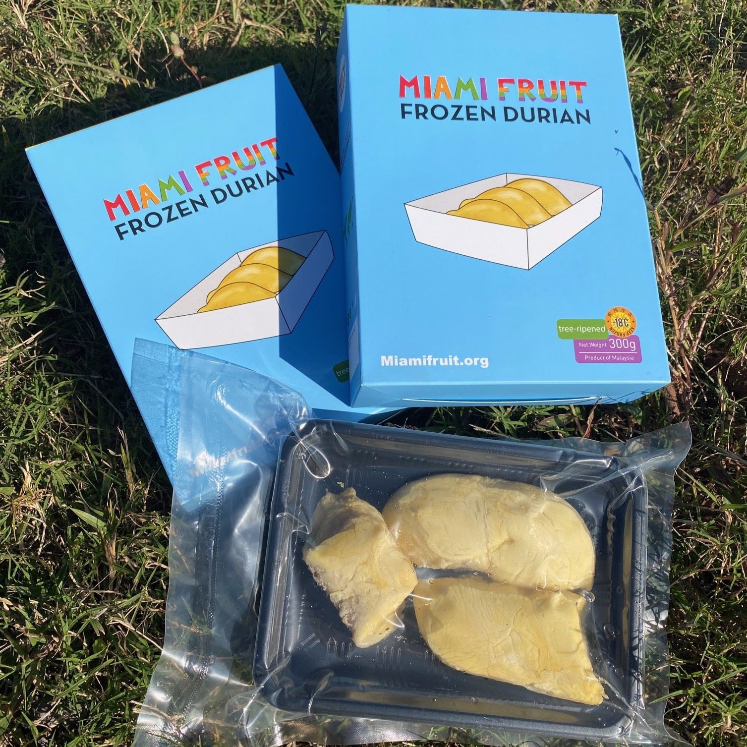 Sultan King (D24) Durian Trays *Pre-Order* – Miami Fruit