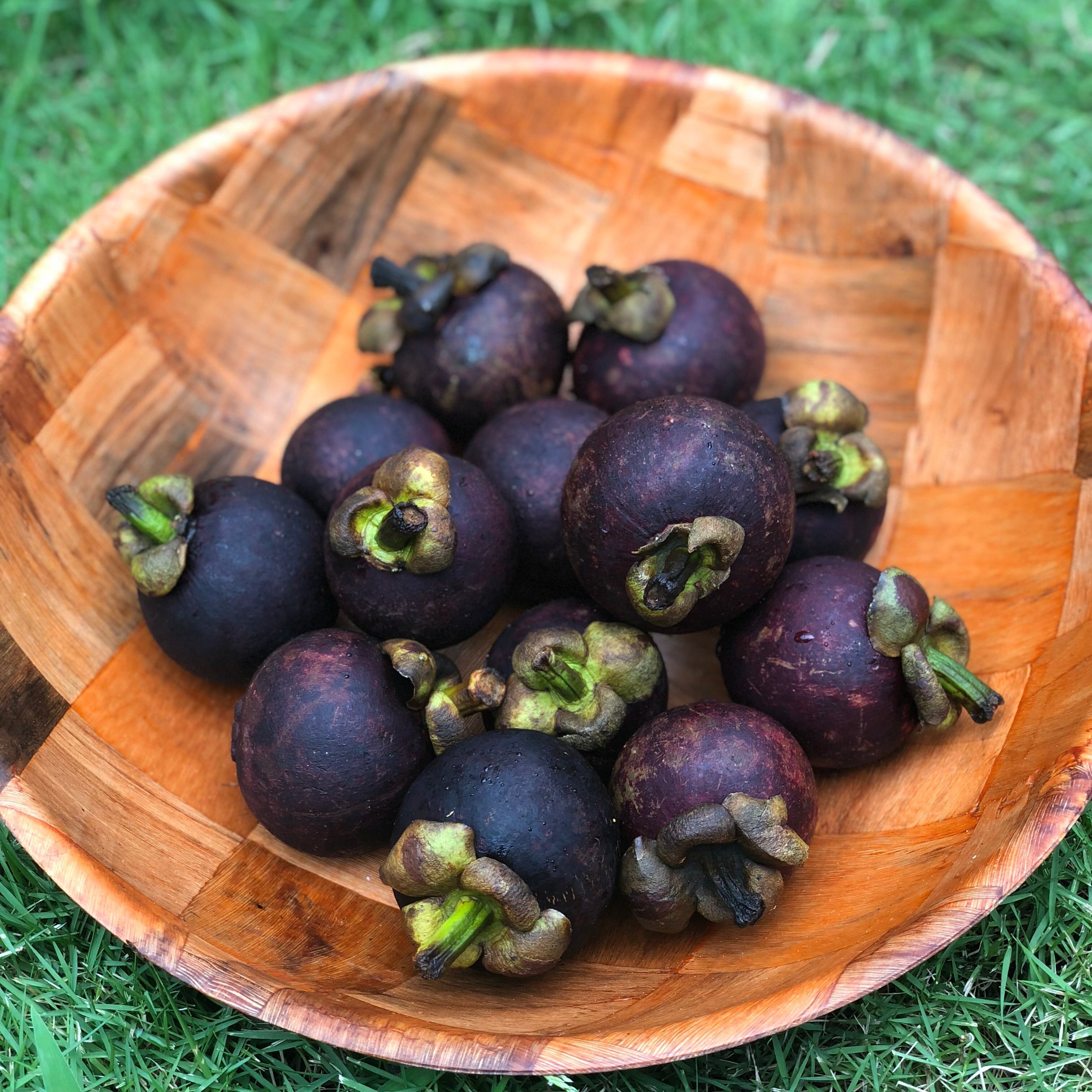 Mangosteen - Buy Mangosteen online from Miami Fruit