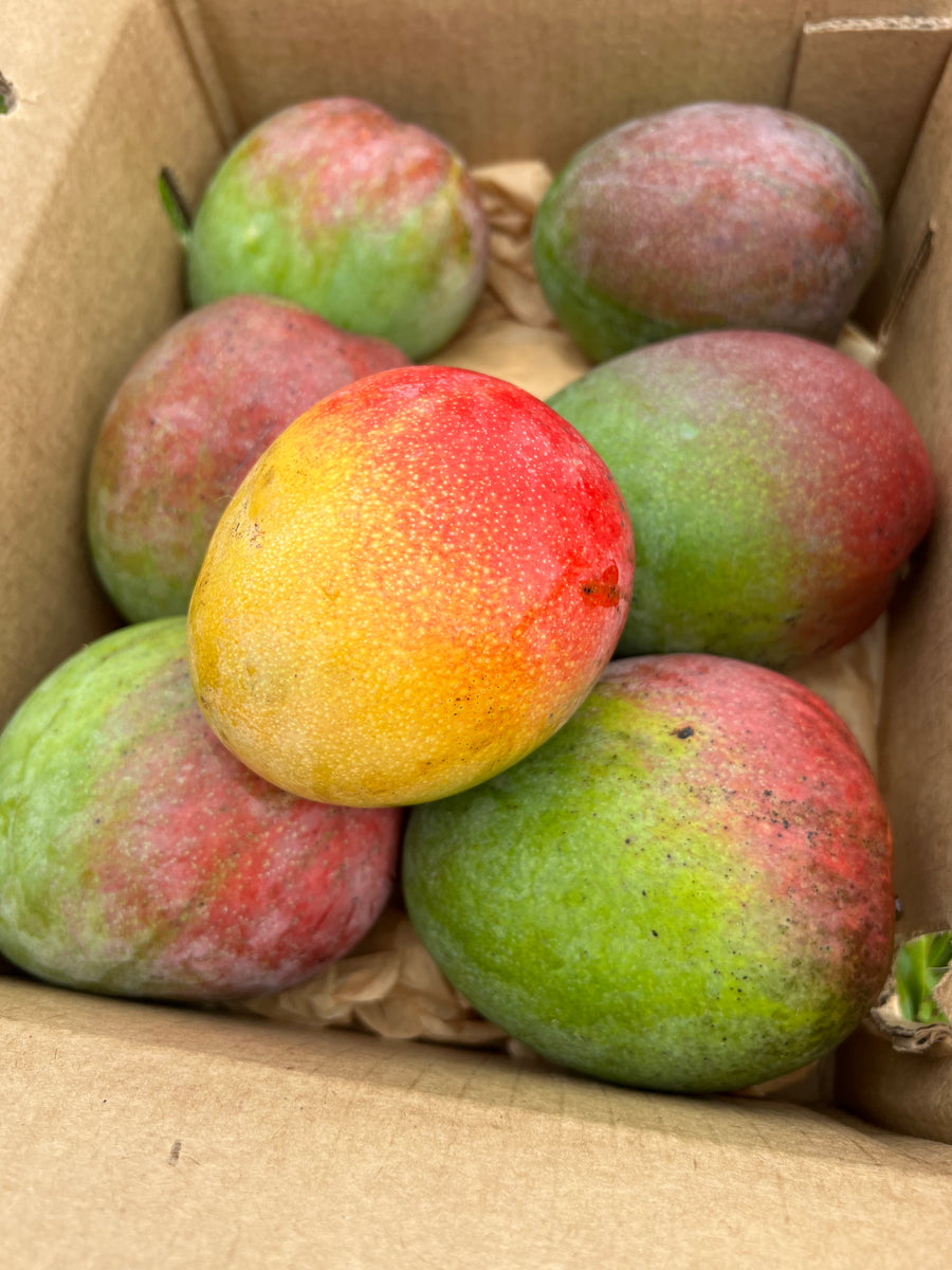 Mango - Buy USA Grown Mango Online from Miami Fruit