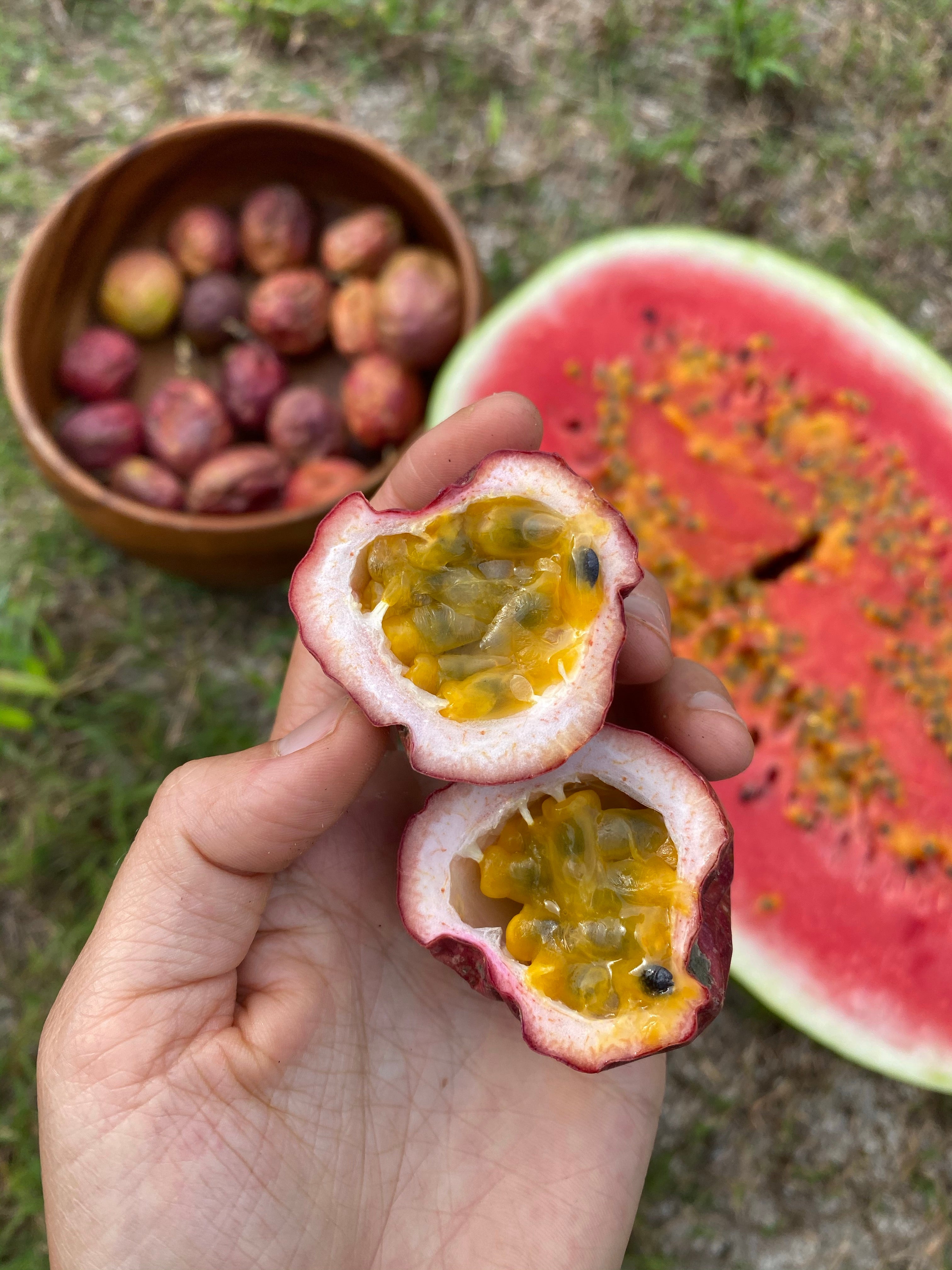 Purple/Pink Passionfruit (Lilikoi) – Miami Fruit