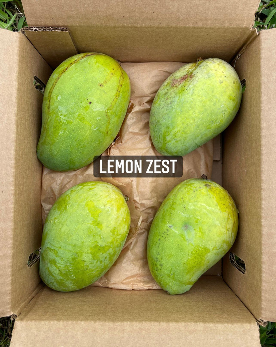 Lemon Zest Mango *Pre-Order* – Miami Fruit