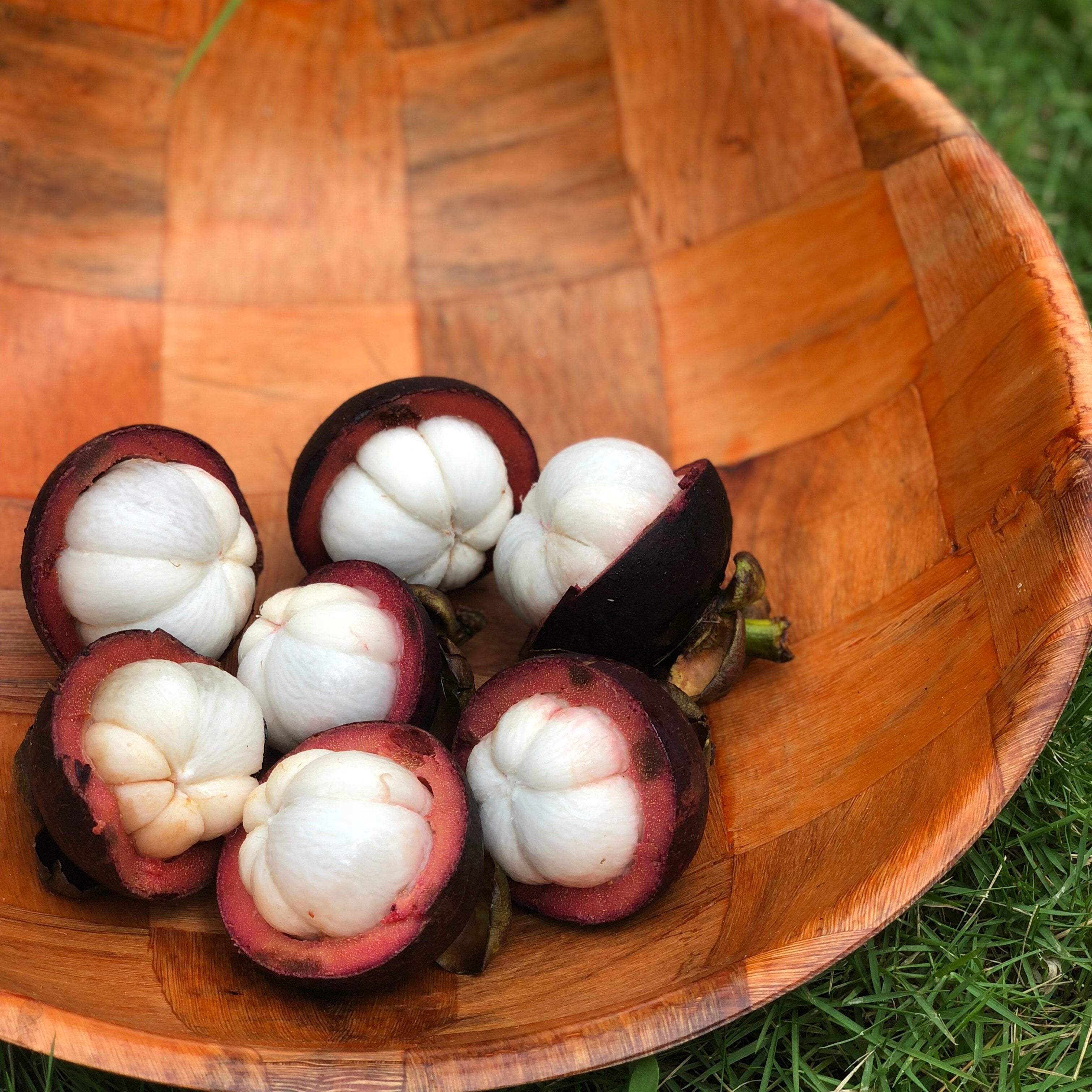 Mangosteen - Buy Mangosteen online from Miami Fruit
