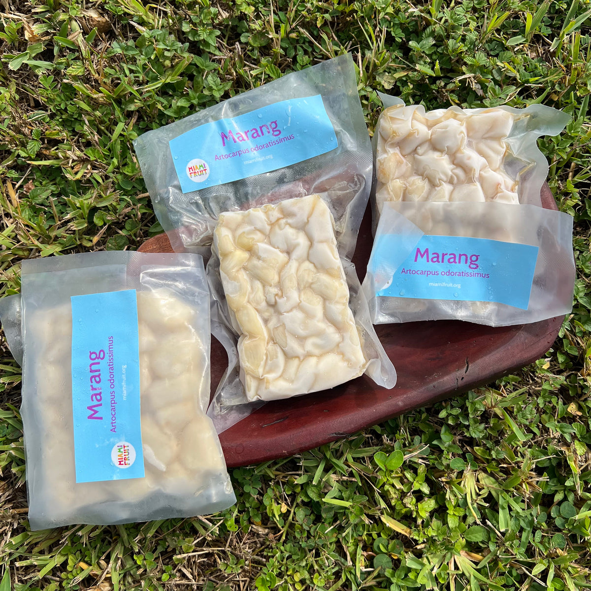 Frozen Marang aka Terap - Buy Marang online from Miami Fruit