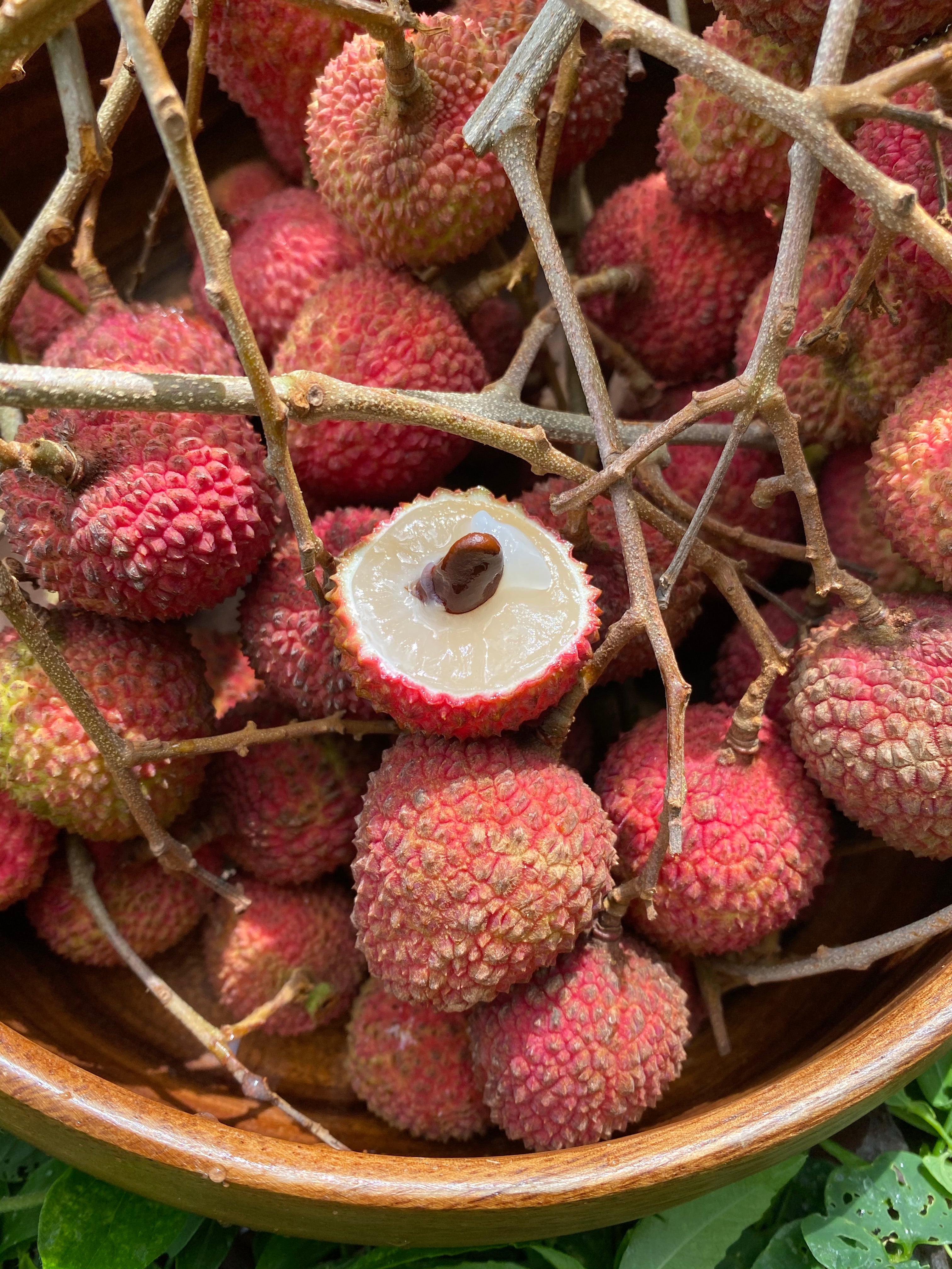 Lychee - Sweetheart Variety *Pre-Order* – Miami Fruit