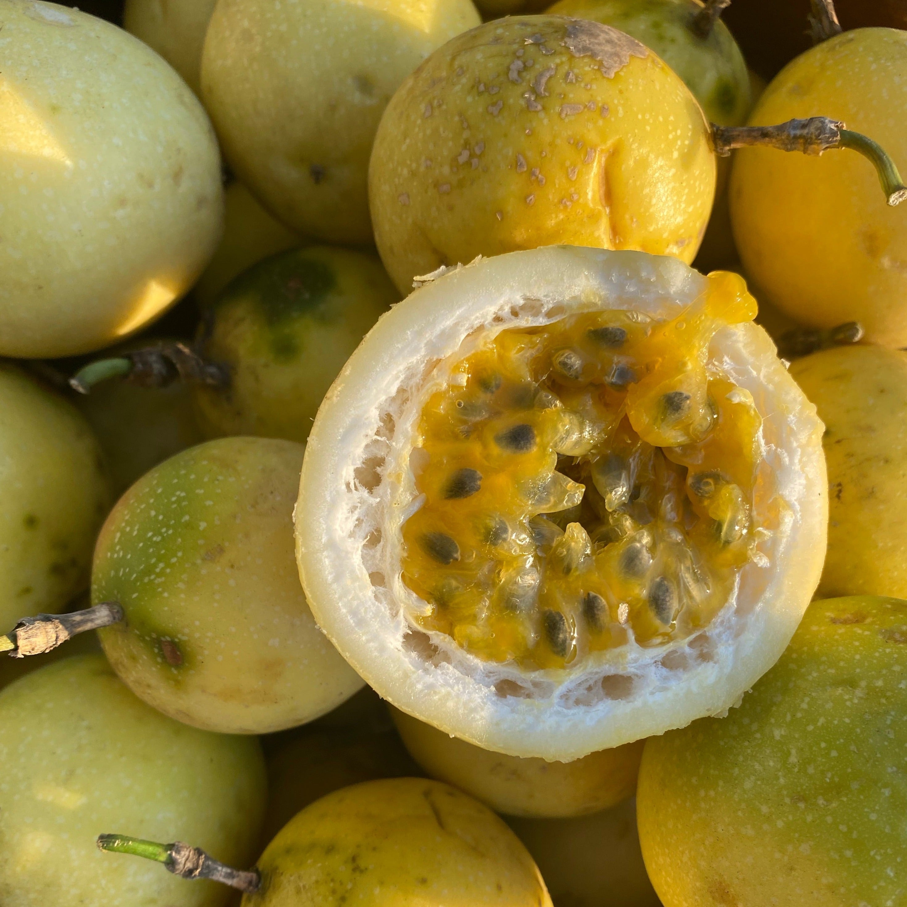 Golden Passionfruit (Lilikoi) *Pre-Order* – Miami Fruit
