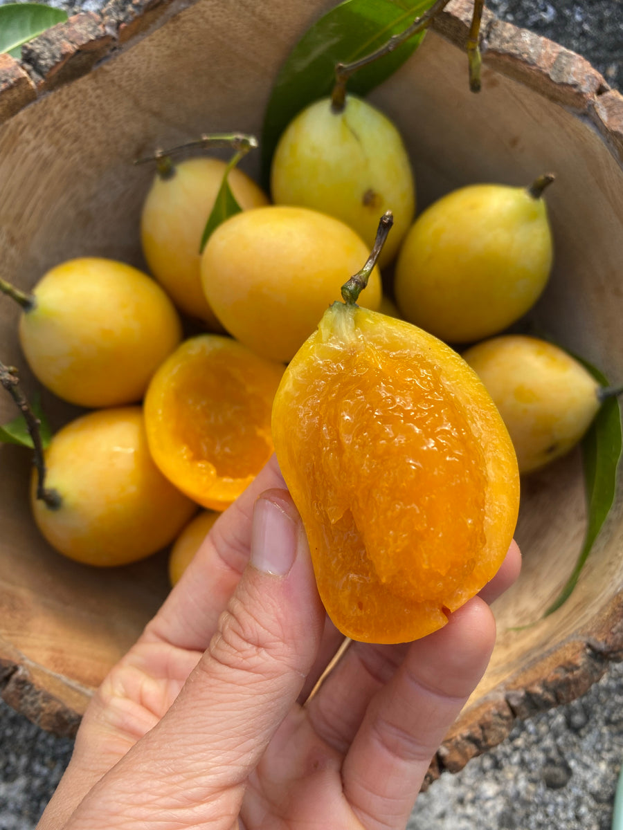Maprang - Buy fresh mango plum online from Miami Fruit