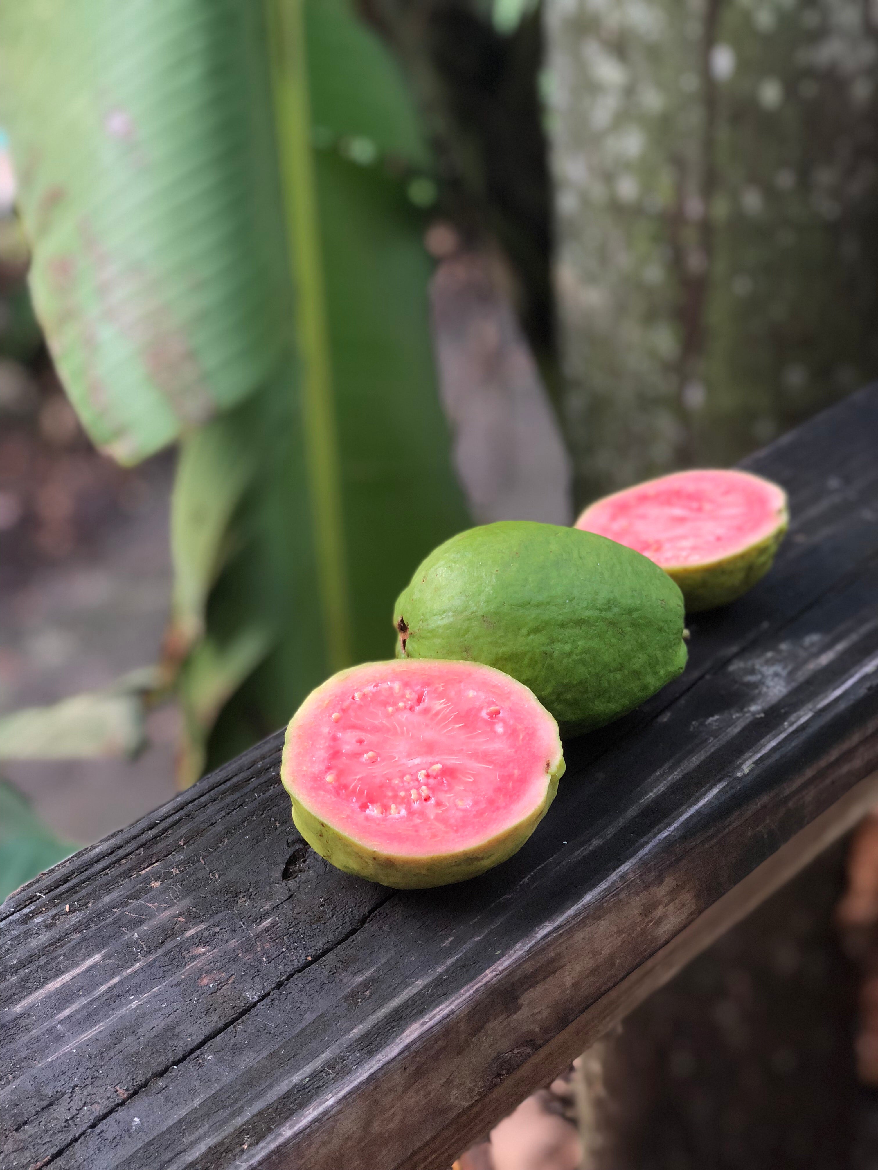 Pink Guava – Miami Fruit