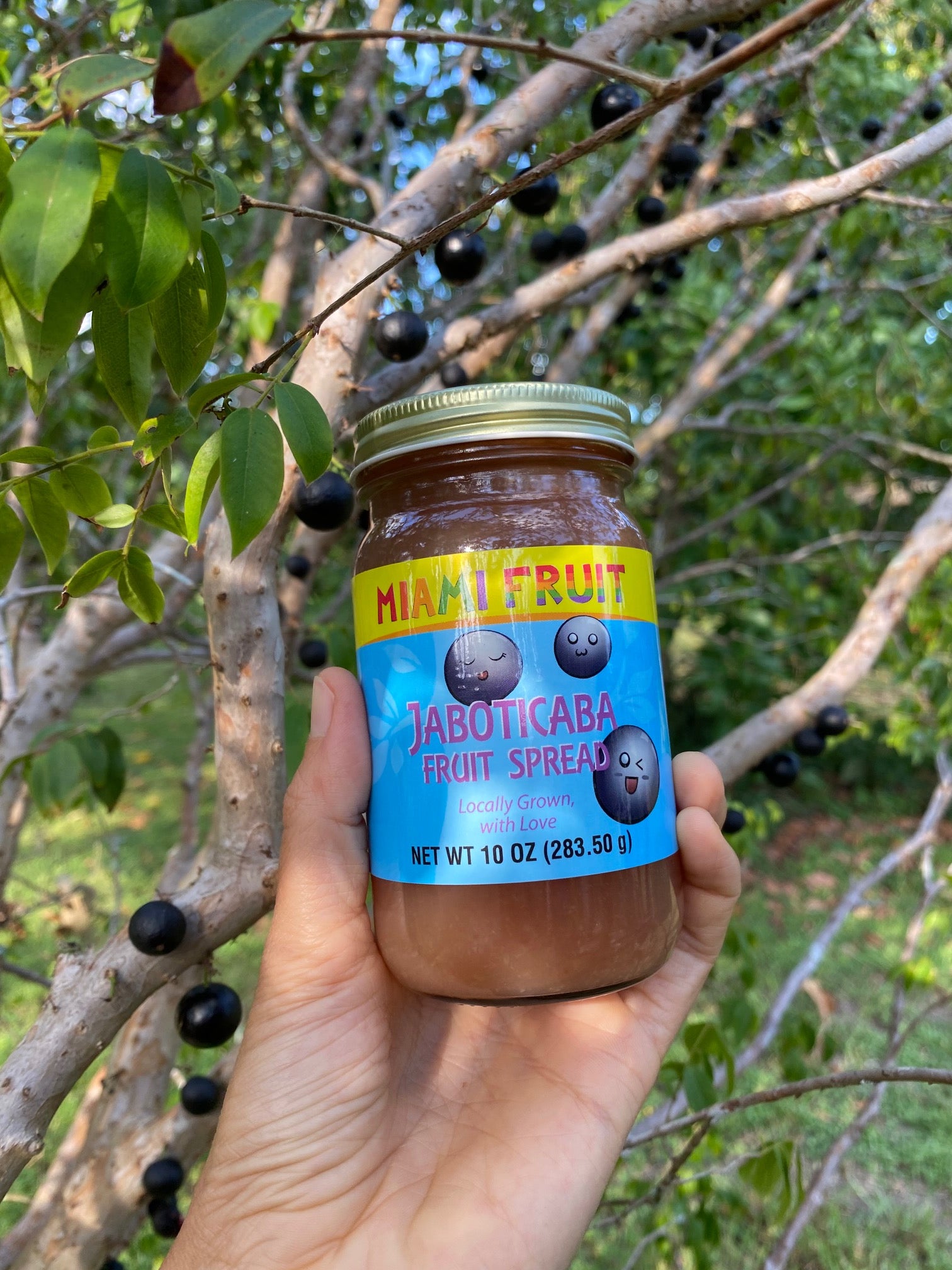 Jaboticaba Jelly *Pre-Order* – Miami Fruit