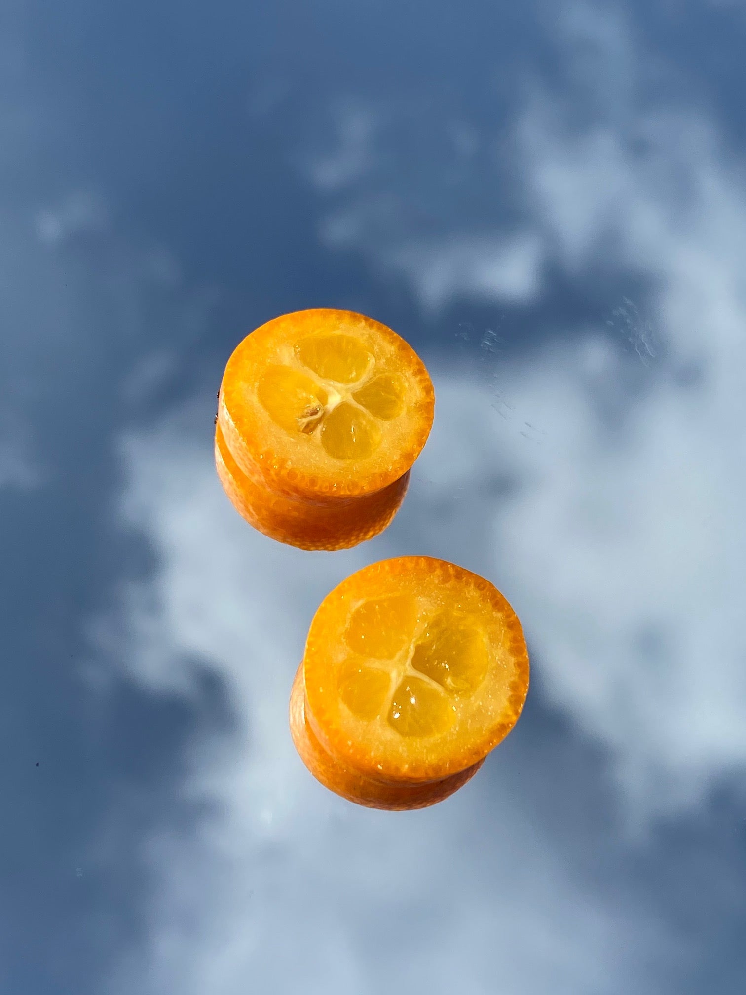 Kumquat Box *Pre-Order* – Miami Fruit