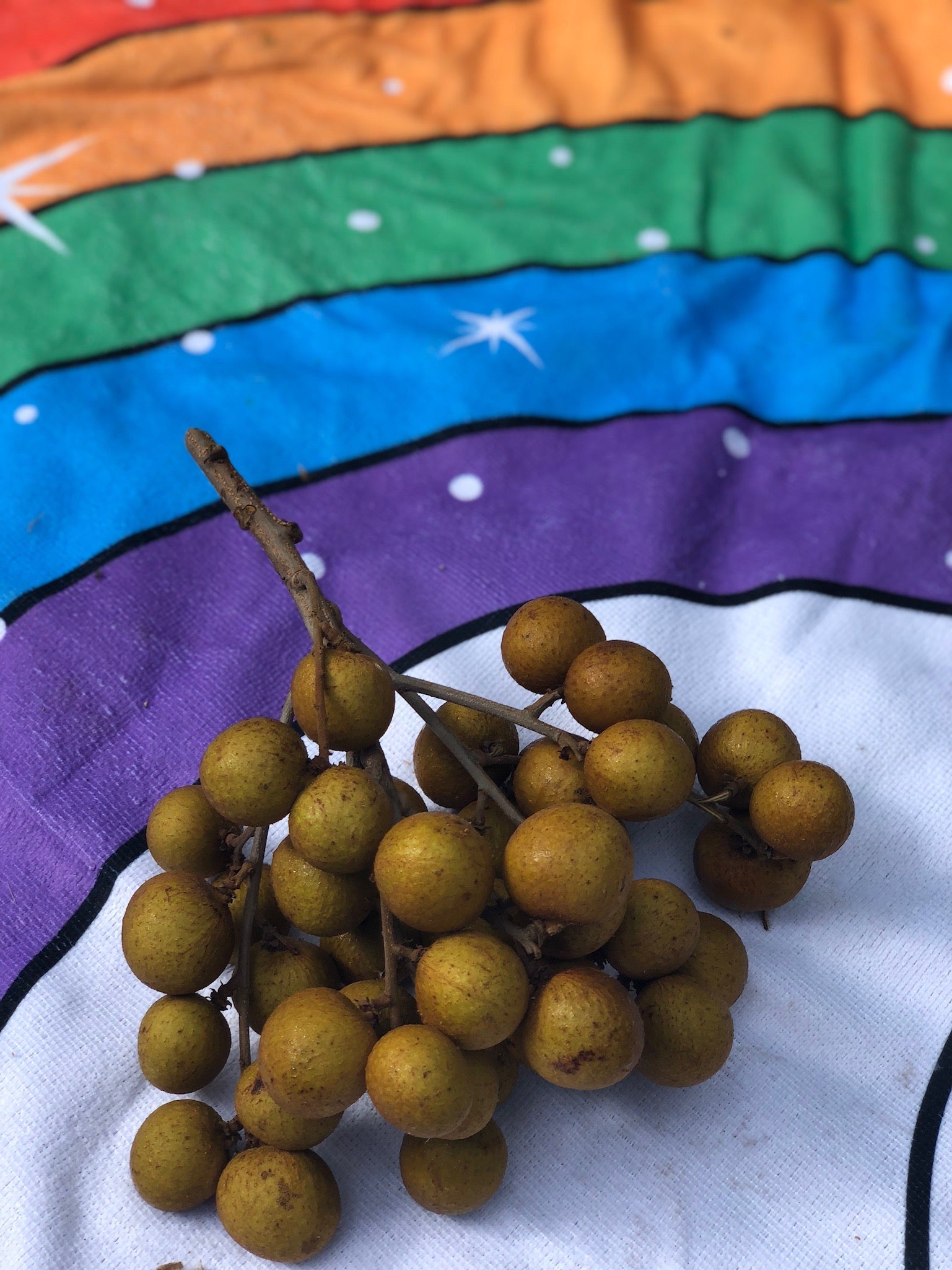 Longan Box - Buy Longan online from Miami Fruit