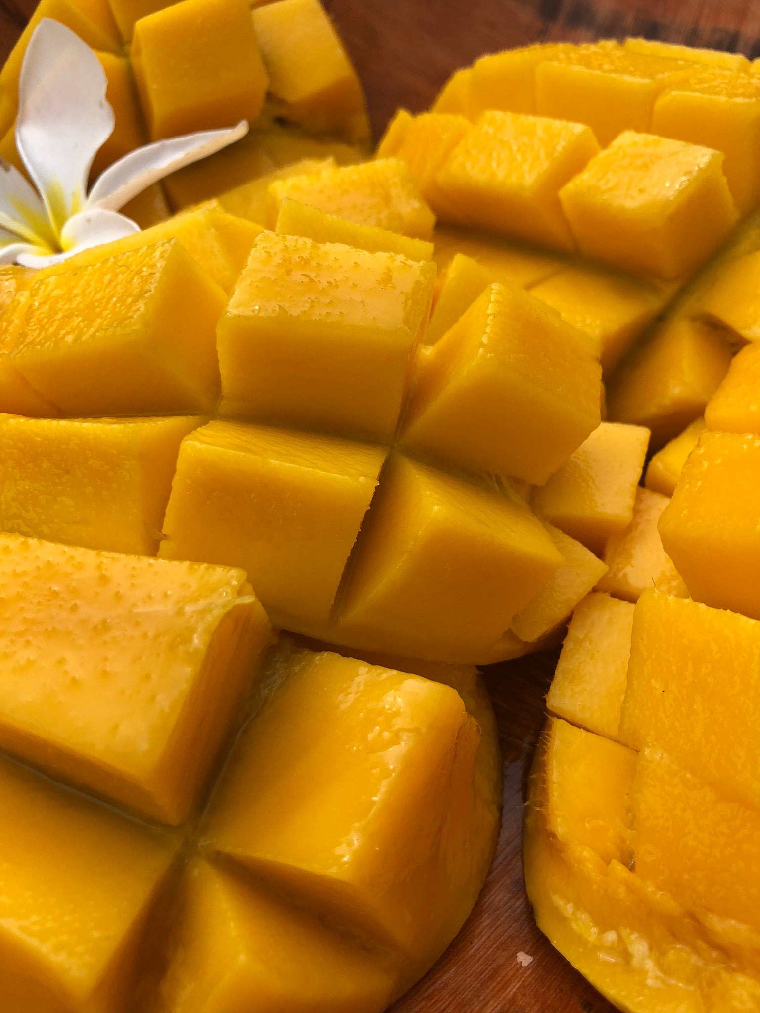 Mango - Buy USA Grown Mango Online from Miami Fruit