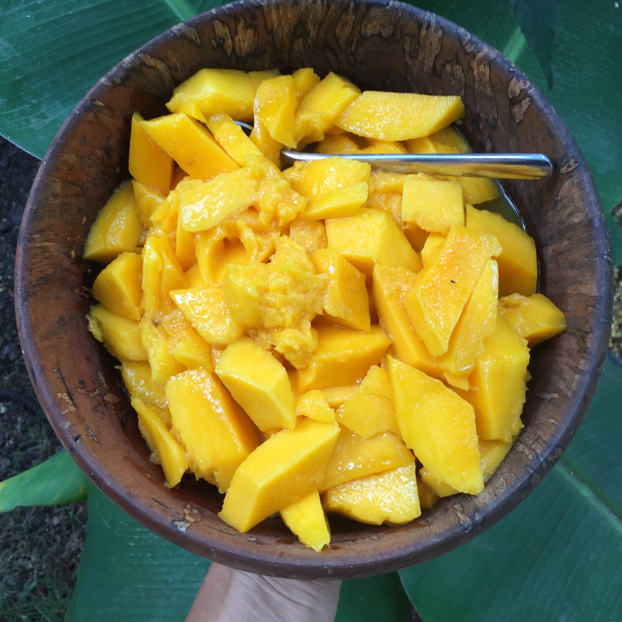Mango - Buy USA Grown Mango Online from Miami Fruit