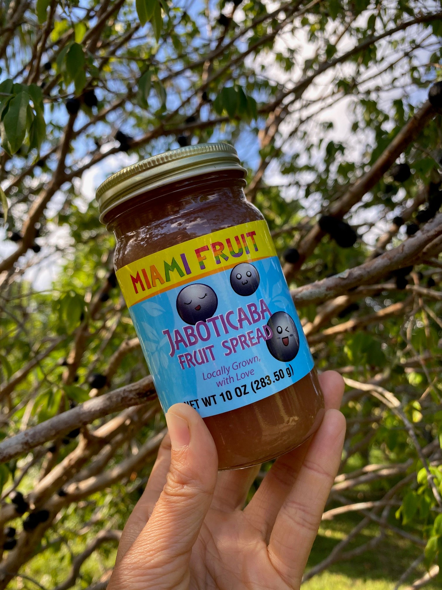 Jaboticaba Jelly *Pre-Order* – Miami Fruit