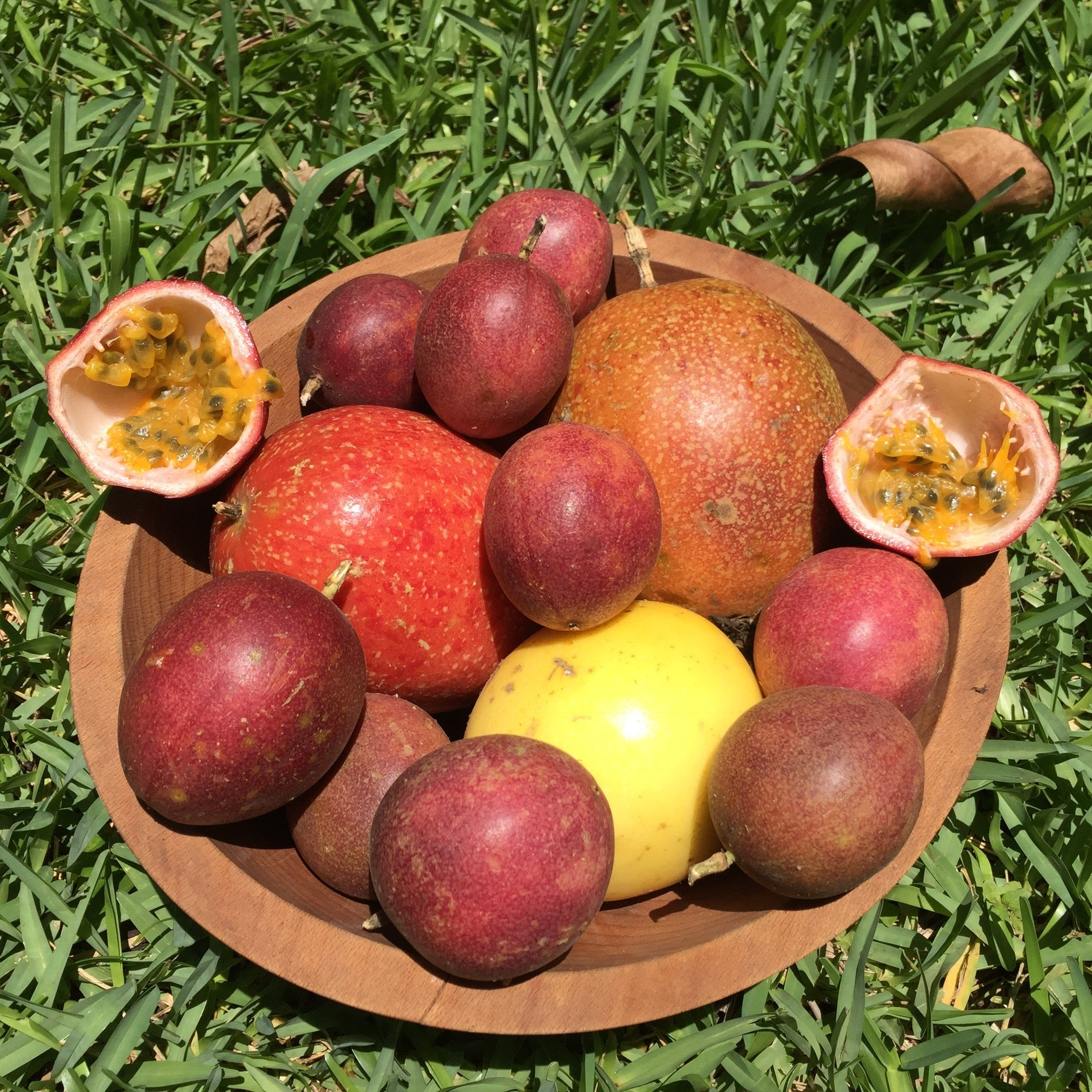 Purple/Pink Passionfruit (Lilikoi) Box *Pre-Order* – Miami Fruit