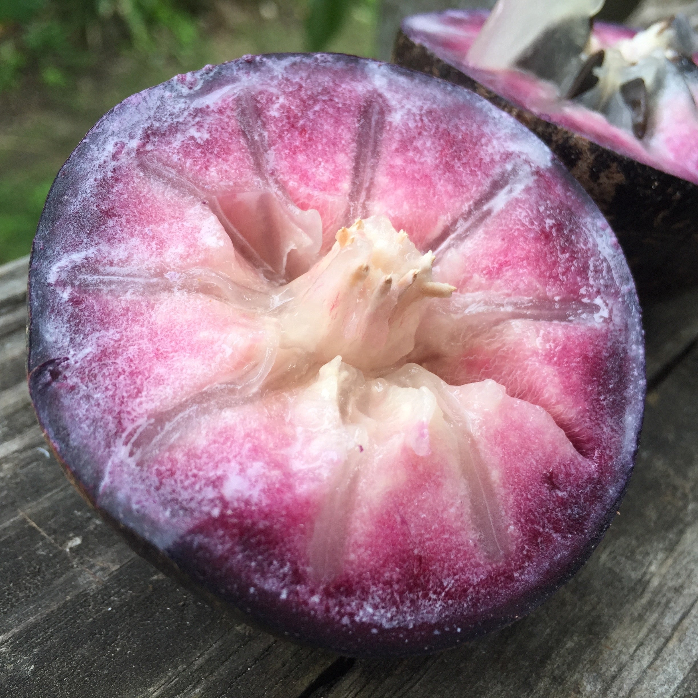 Star Apple - (Caimito) – Miami Fruit