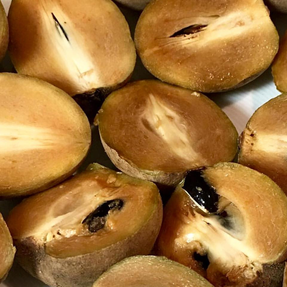 Sapodilla Box *Pre-Order* – Miami Fruit