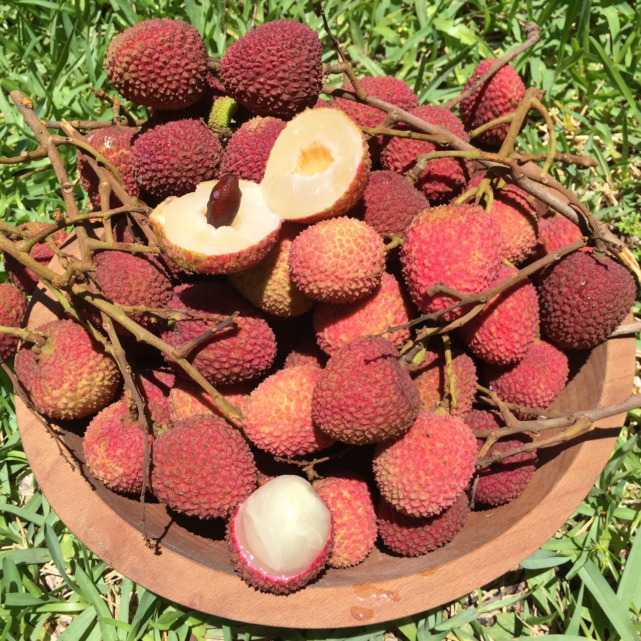 Lychee - Sweetheart Variety *Pre-Order* – Miami Fruit