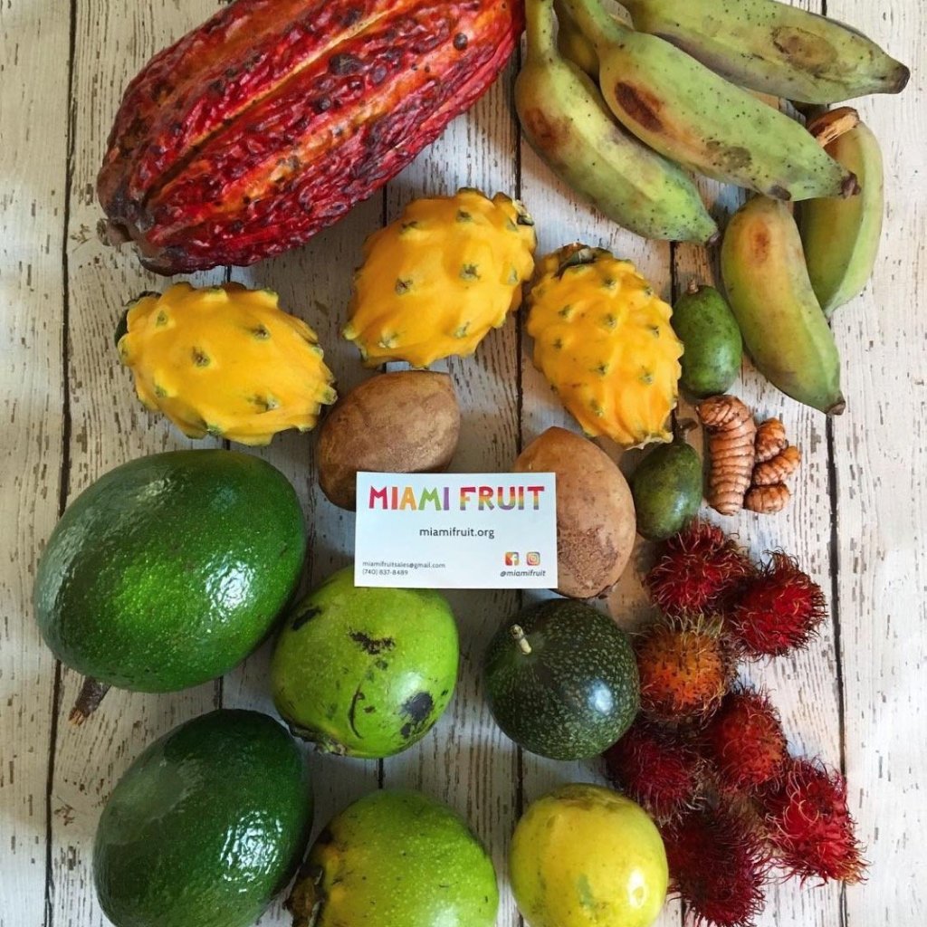 Variety Box – Miami Fruit